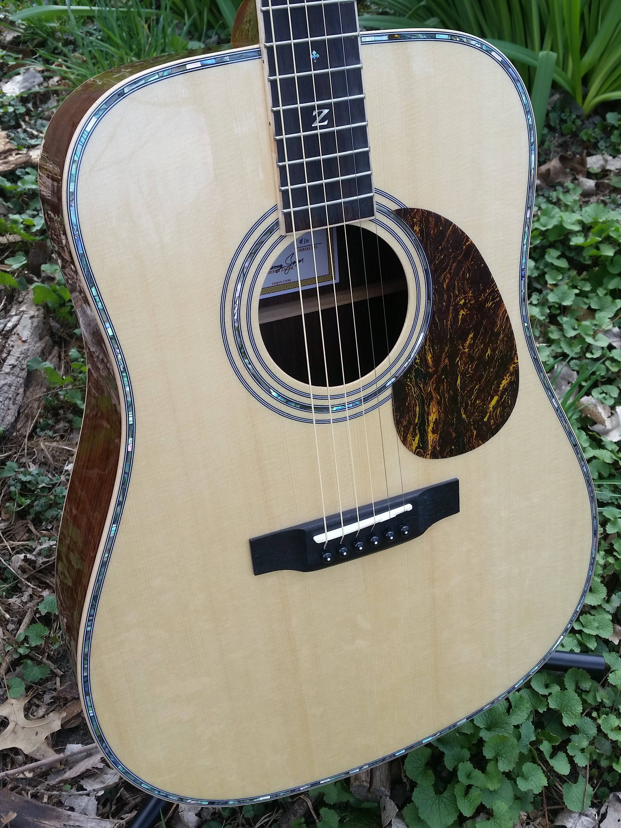 ZAD900 Rosewood/Spruce Acoustic Pro Series (Discount) | Zager Guitars
