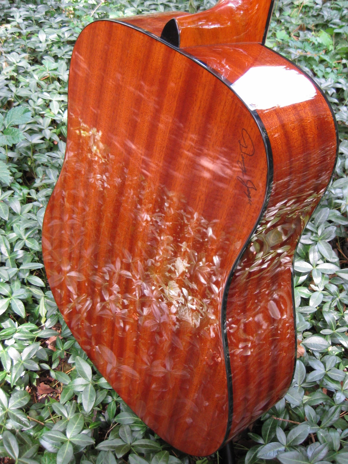 ZAD50CE Solid African Mahogany Acoustic Electric | Zager Guitars